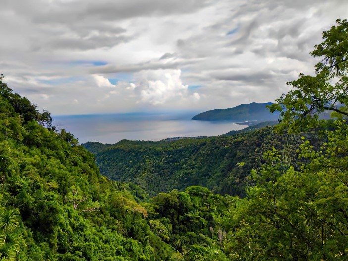 Farmers commit to forest conservation in Comoros